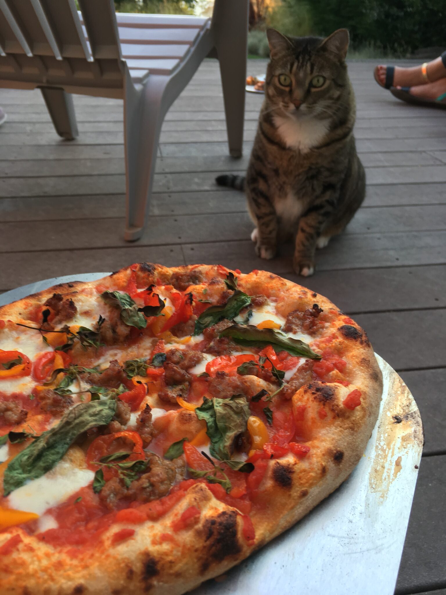 The Future Favors the Curious » Mike Industries